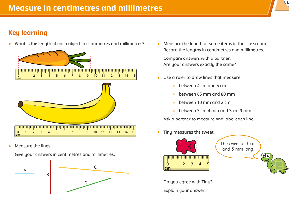 Thomas Reade Primary School - Year 3 key topics